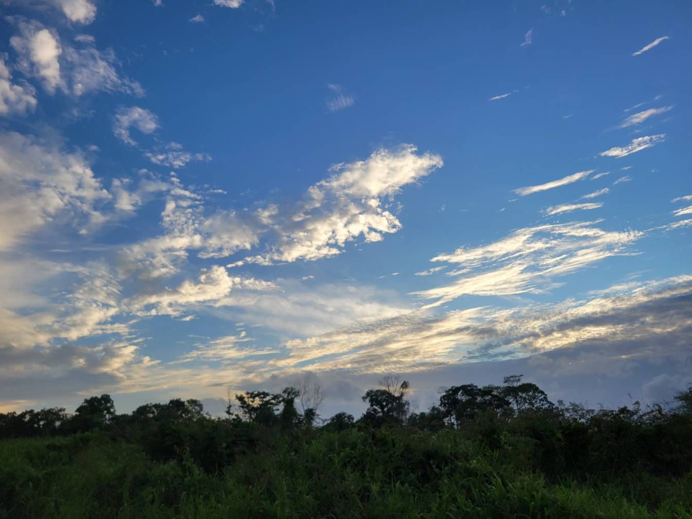 Sunset Samsung Members