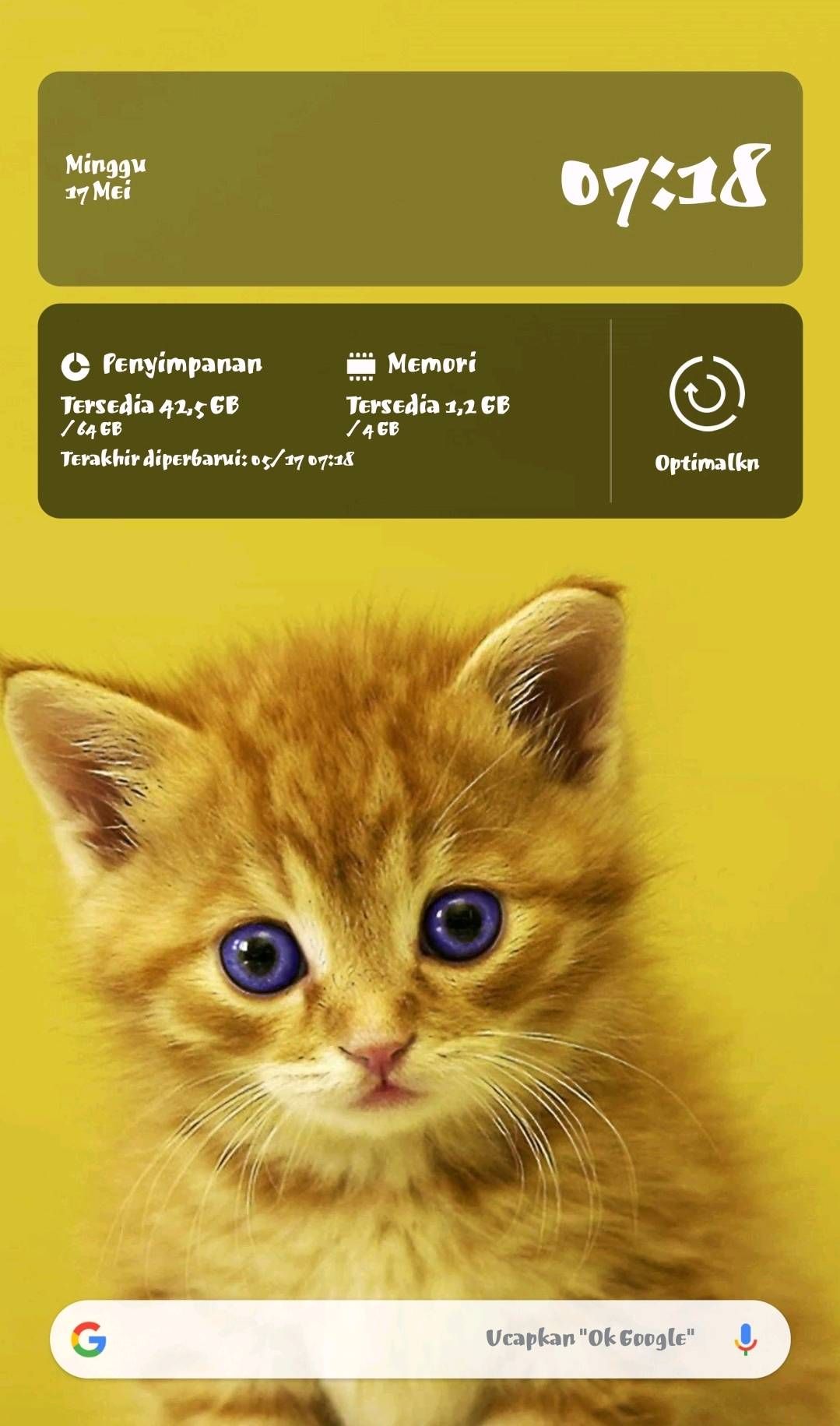 font - Samsung Members