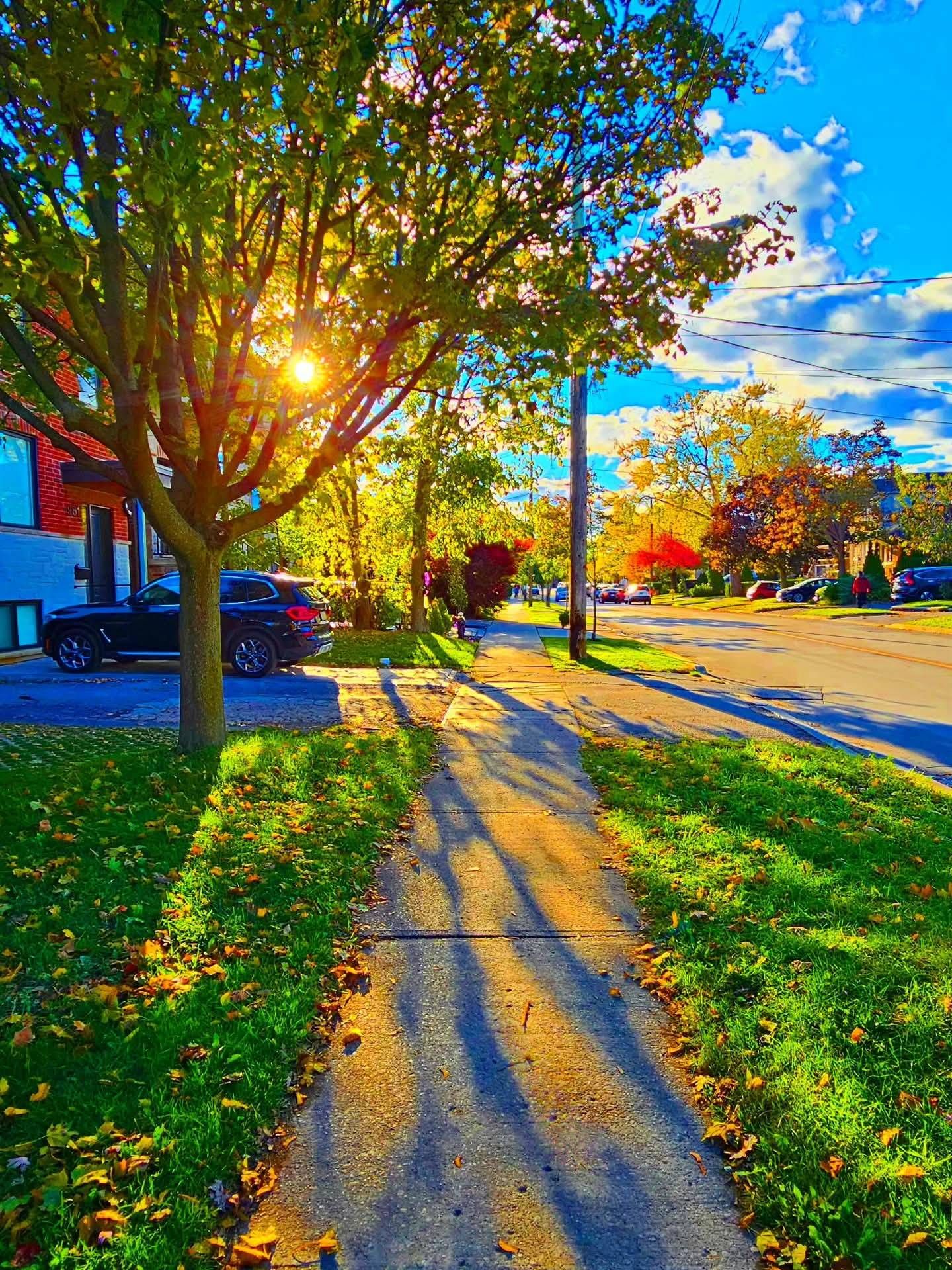 "Autumn is a second spring when every leaf is a fl... - Samsung Members