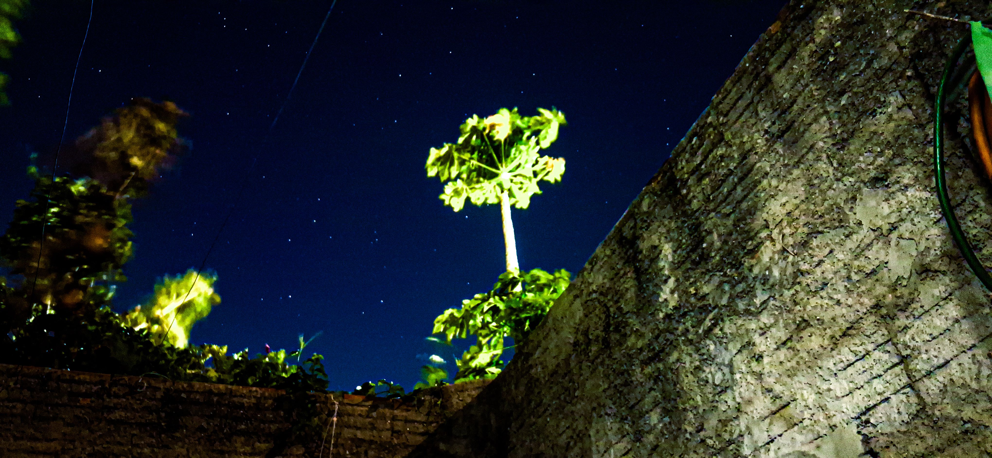 Fiquem com essa bela foto do meu Samsung Galaxy A1... - Samsung Members