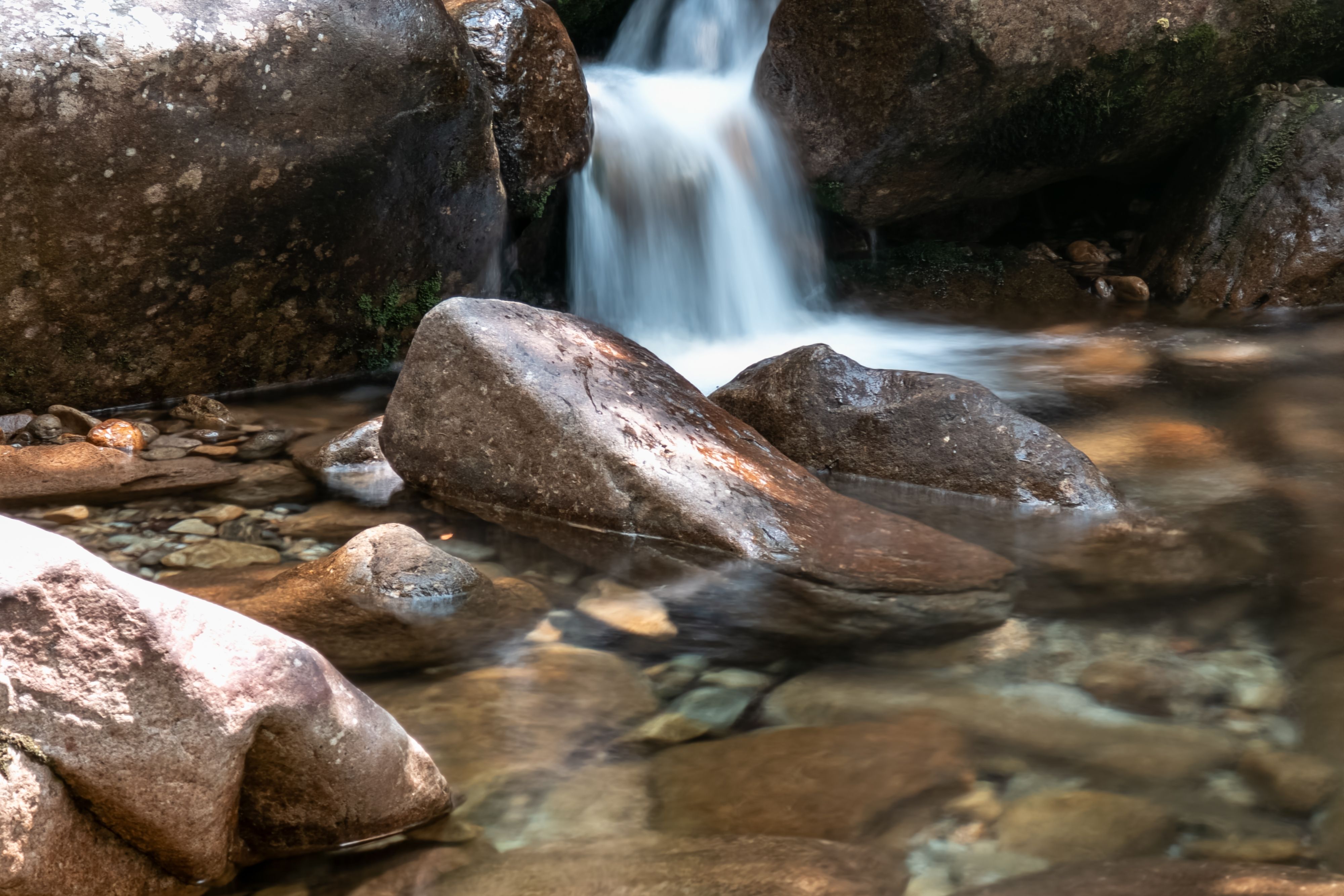 [임직원 갤러리 컬렉션] Galaxy S25 Ultra 와 함께 한 사진전 - 3페이지 - Samsung Members