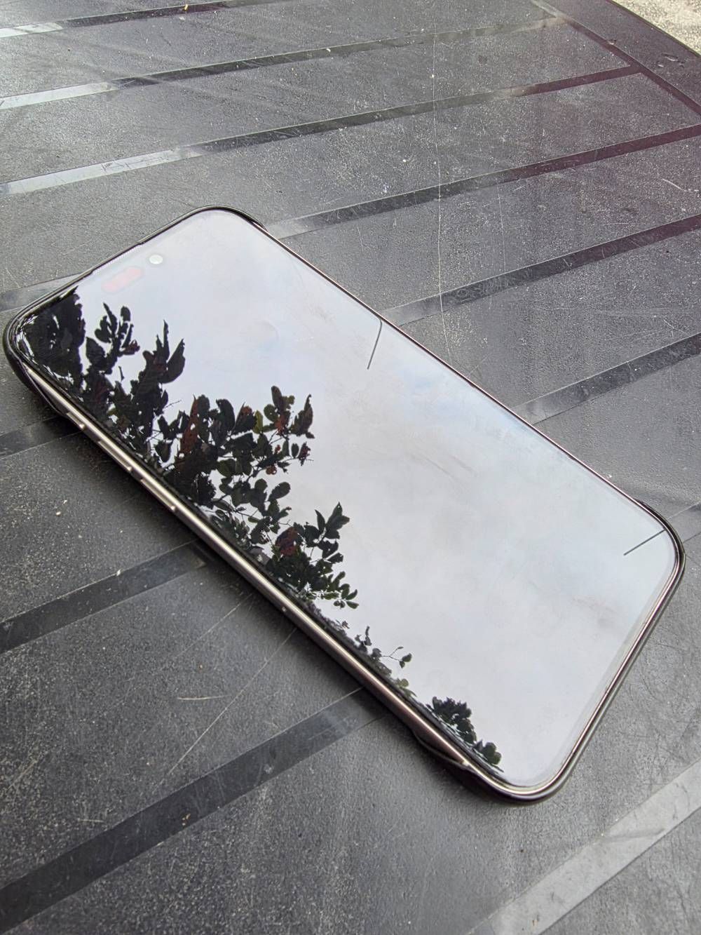 Shot by zFold7 - Samsung Members