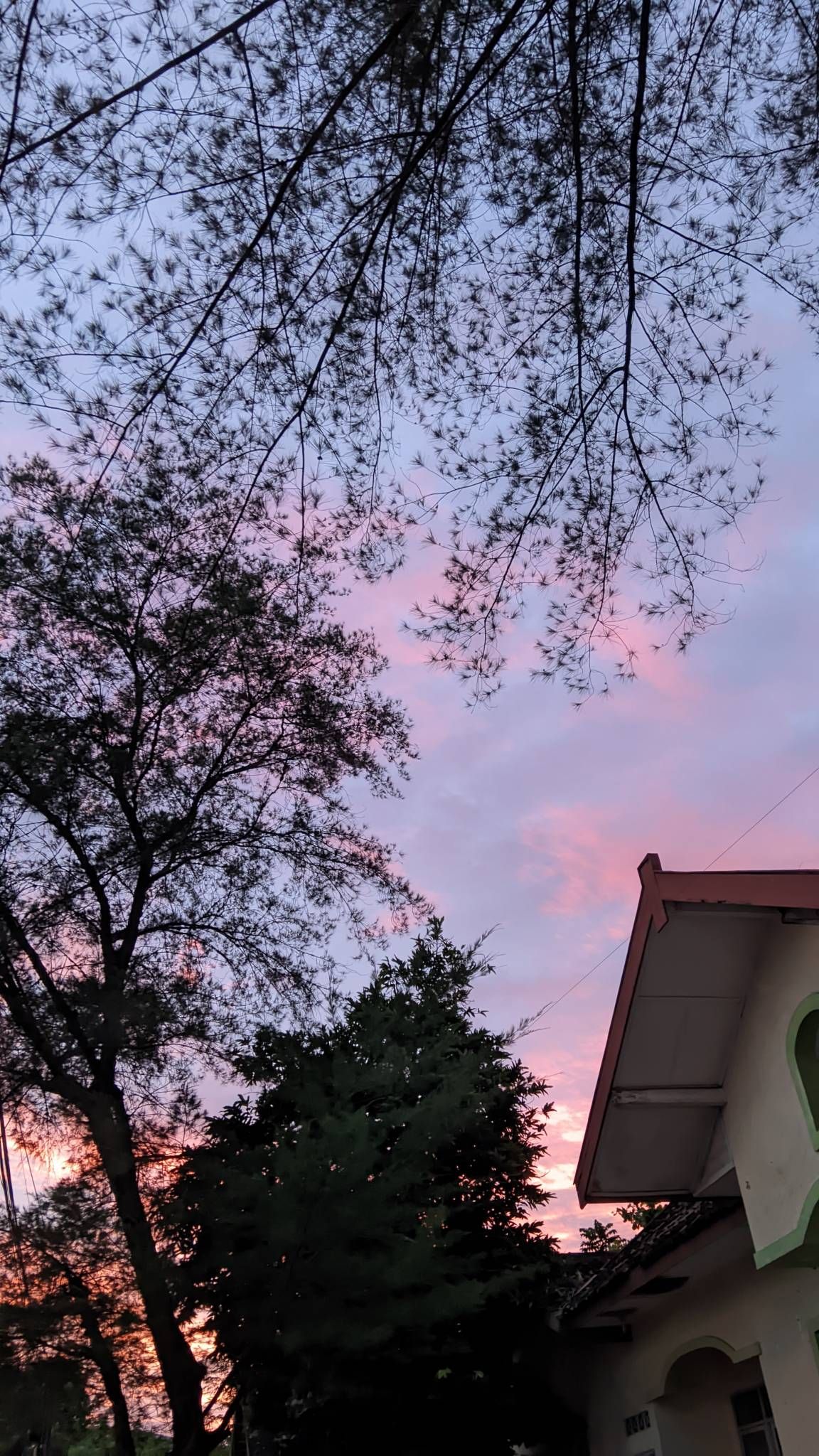 🌅 by Galaxy A05s - Samsung Members