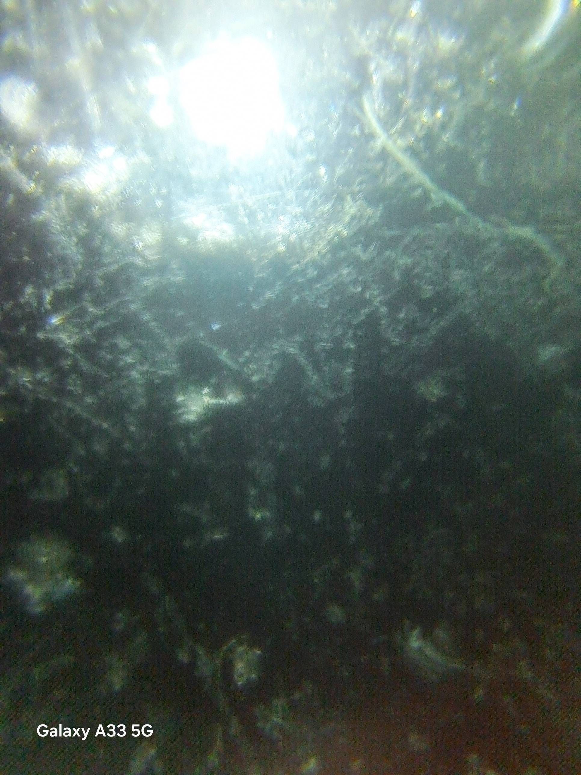 [💠GALAXY A33 5G💠] Foto Kelereng Pake Mode Macro,... - Samsung Members