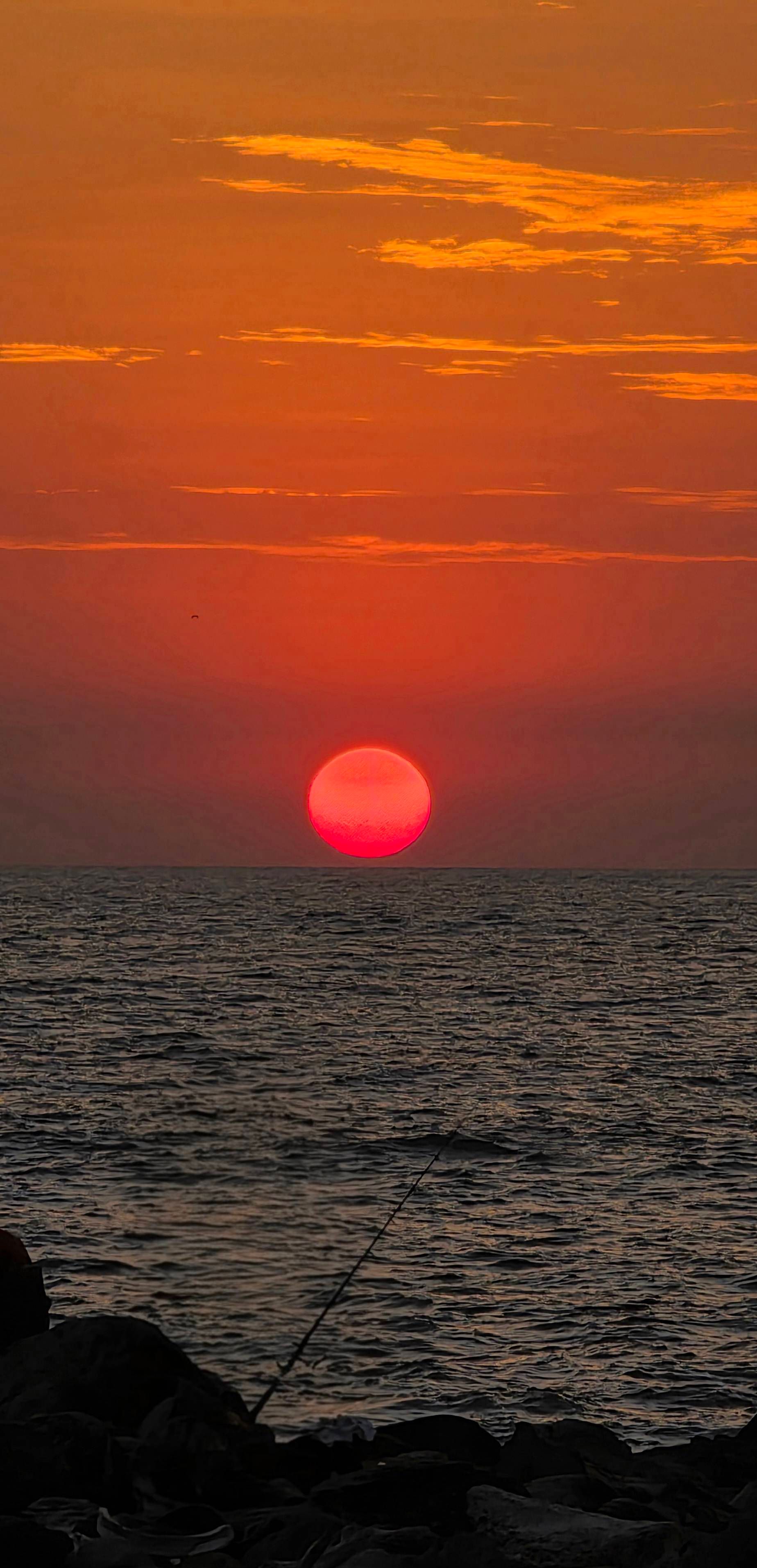 Sol 🌞 - Samsung Members