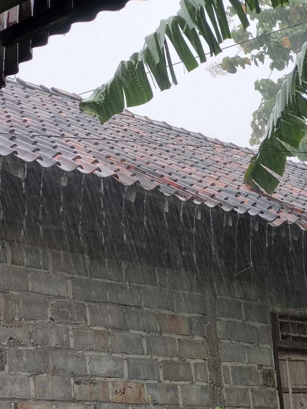 [SAMSUNG S21FE]-Tahun baru hp baru(second) kena ti... - Samsung Members