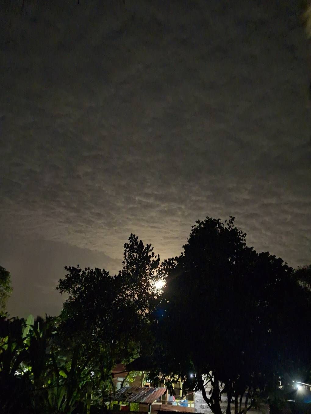 camera malam sam.a26 - Samsung Members