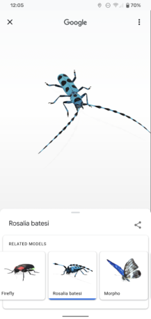 Google AR animals now include 23 beetles, butterfl... - Samsung Members