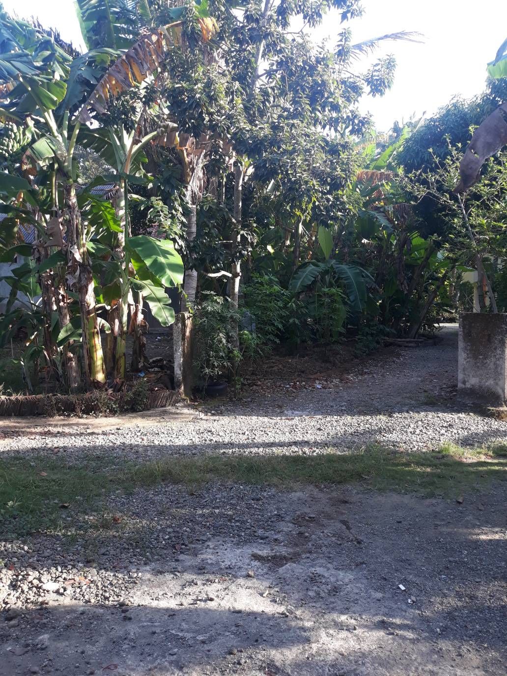 selamat pagi bro - Samsung Members