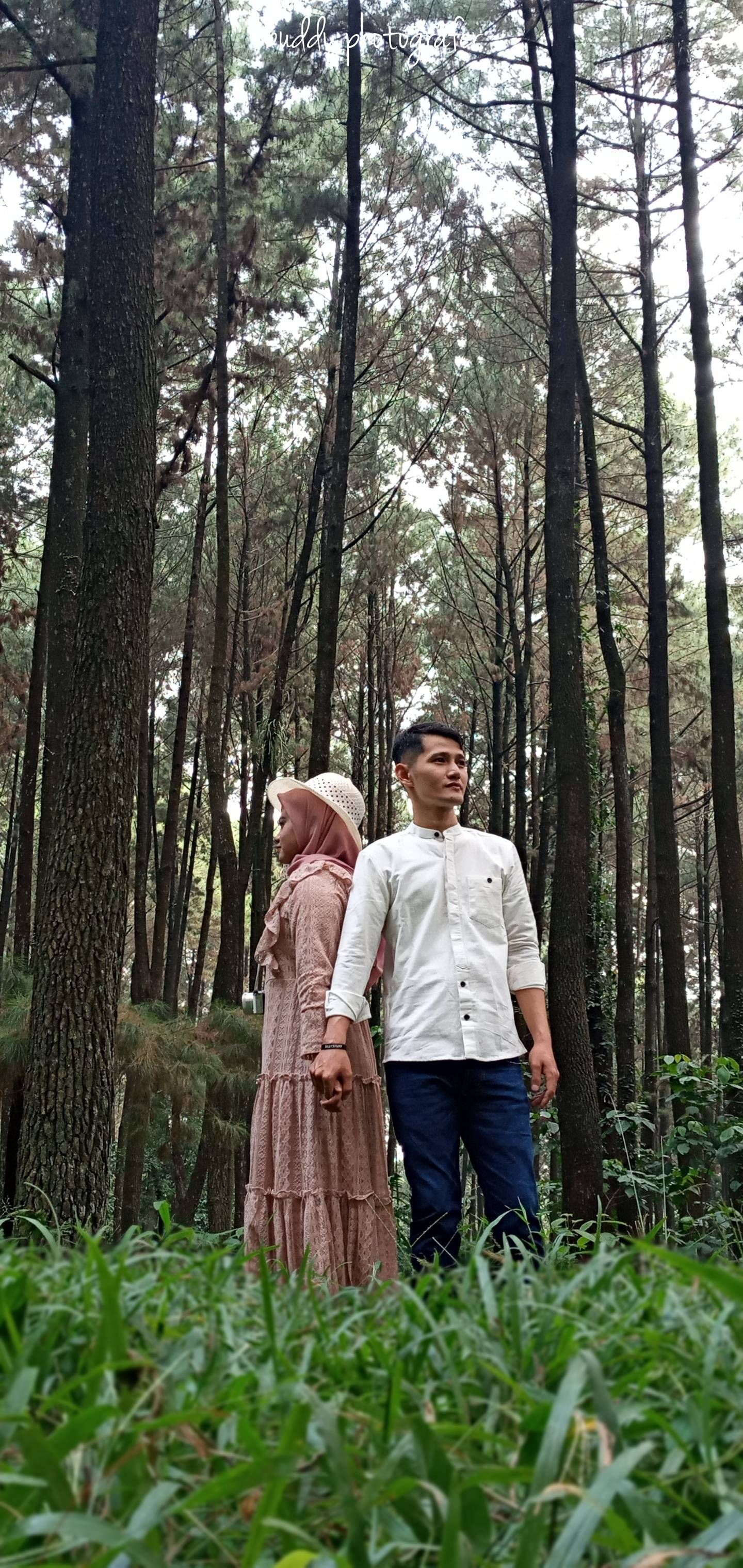 TakeShoot Prewed - Hutan Pinus Gunung Pancar Sentu... - Samsung Members
