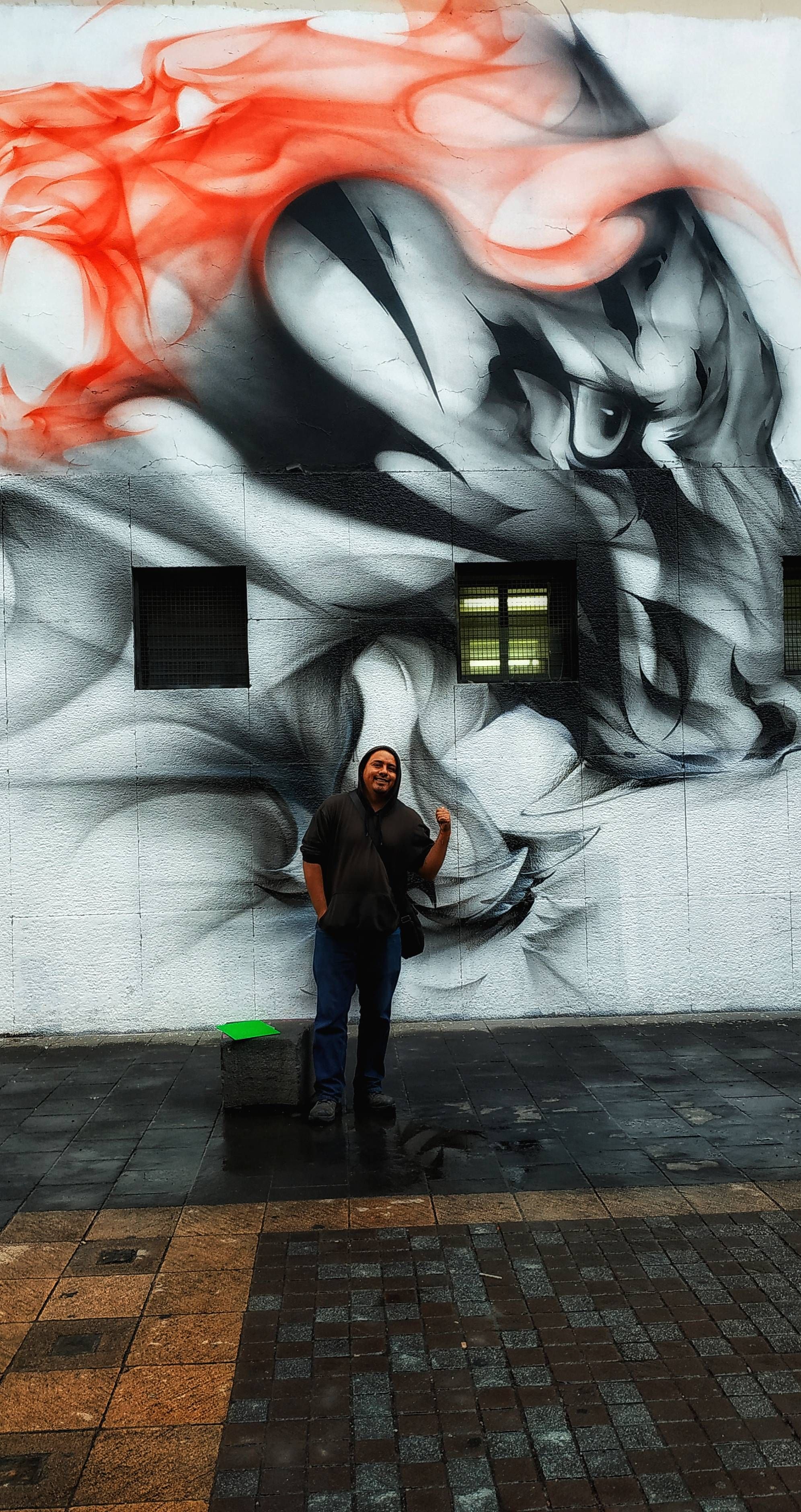 Tiger Spirit Mural CDMX - Samsung Members