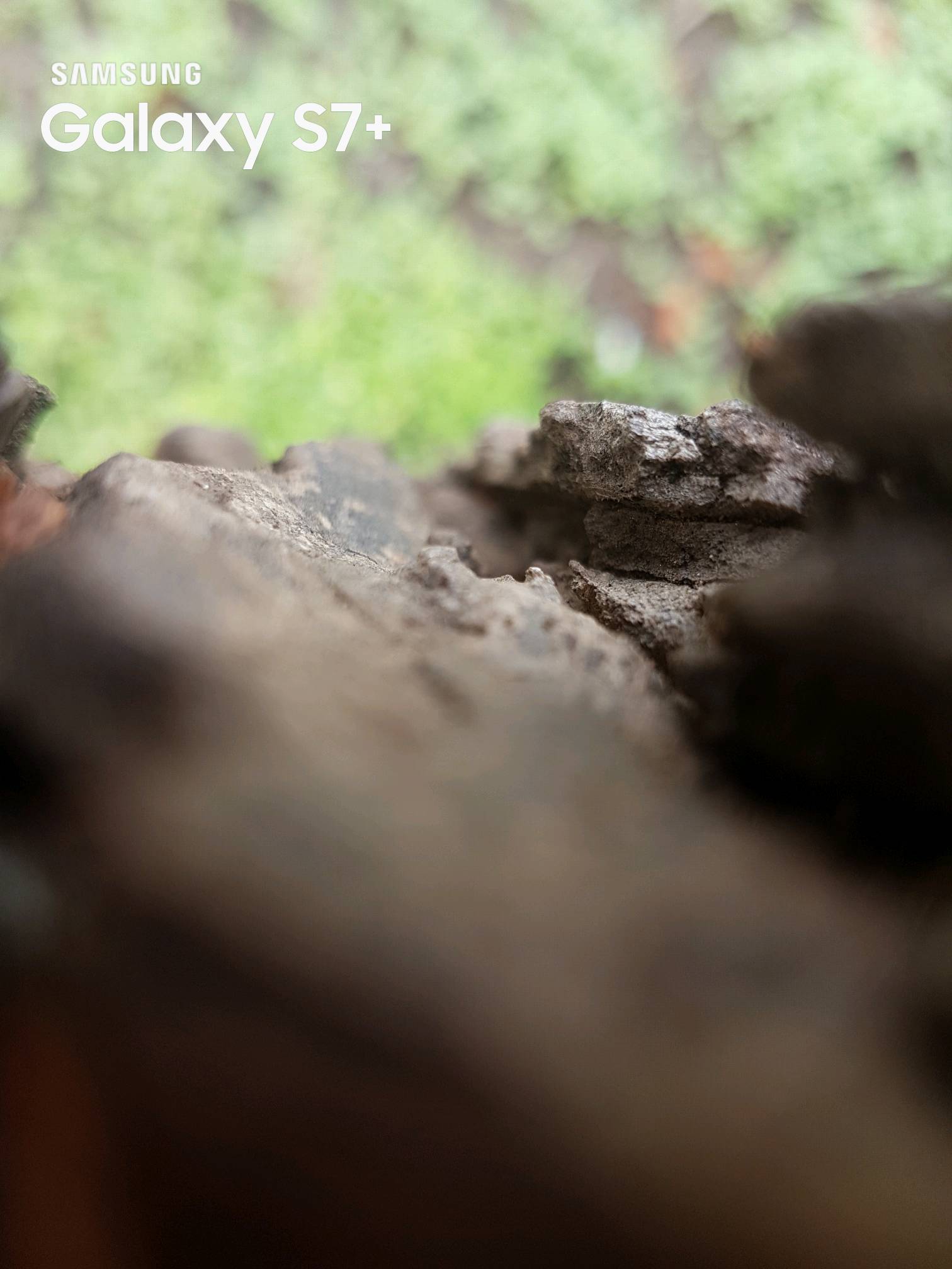 que increibles fotos toma el Samsung galaxy s7 edg... - Samsung Members