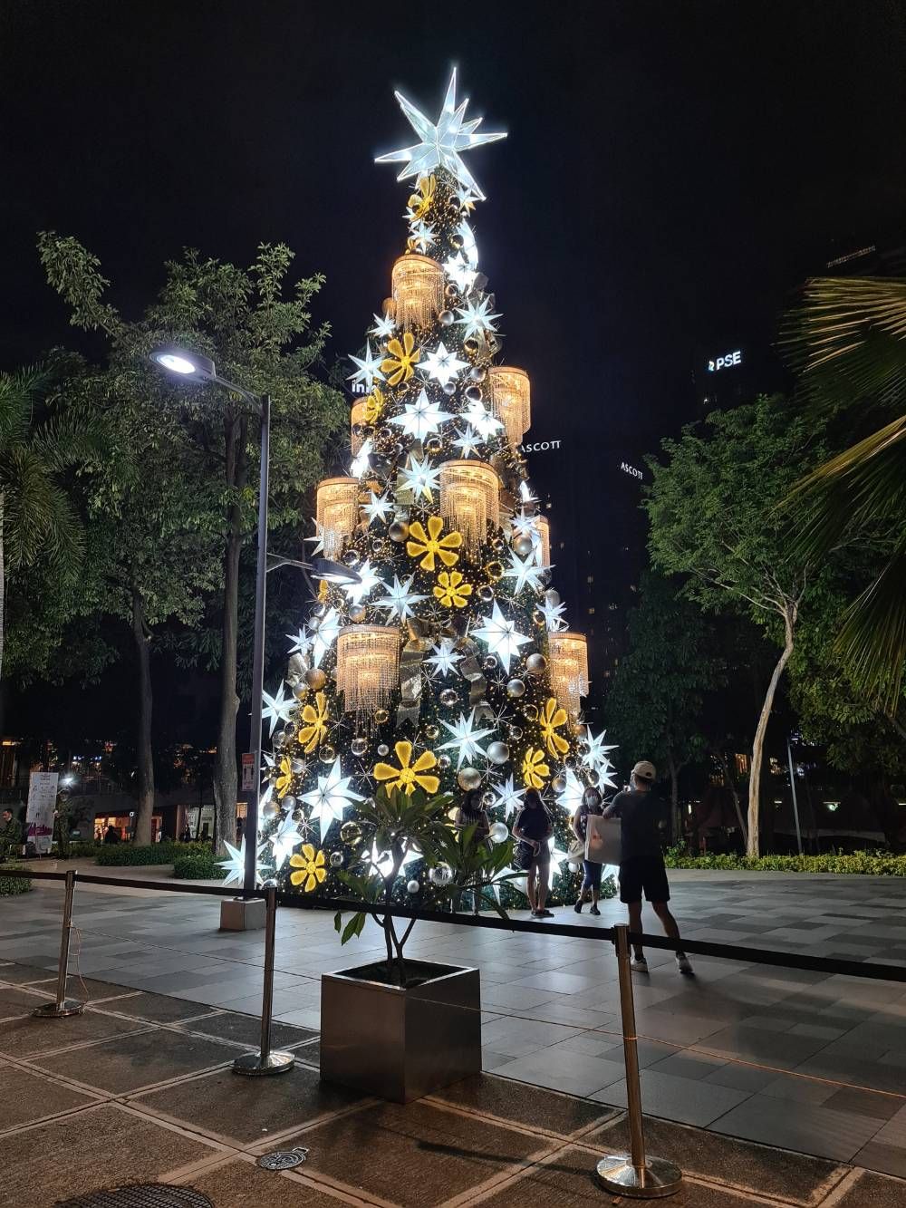 BGC Christmas Tree - Samsung Members