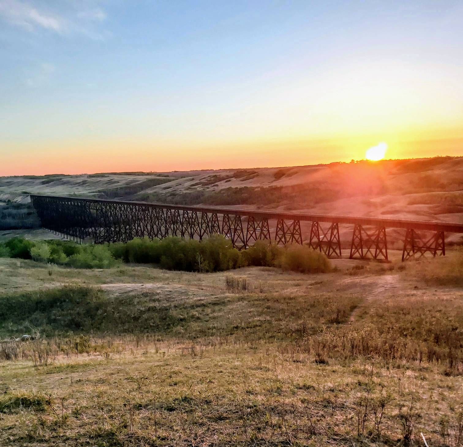 WAINWRIGHT Trestle - Samsung Members