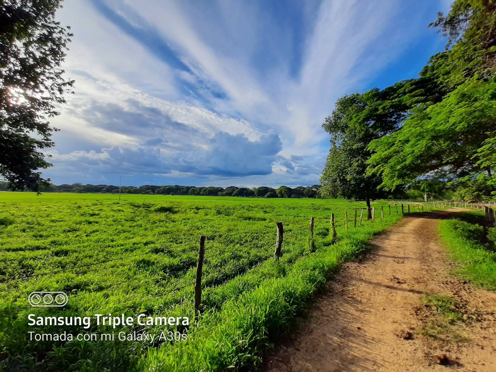 Panorama - Samsung Members