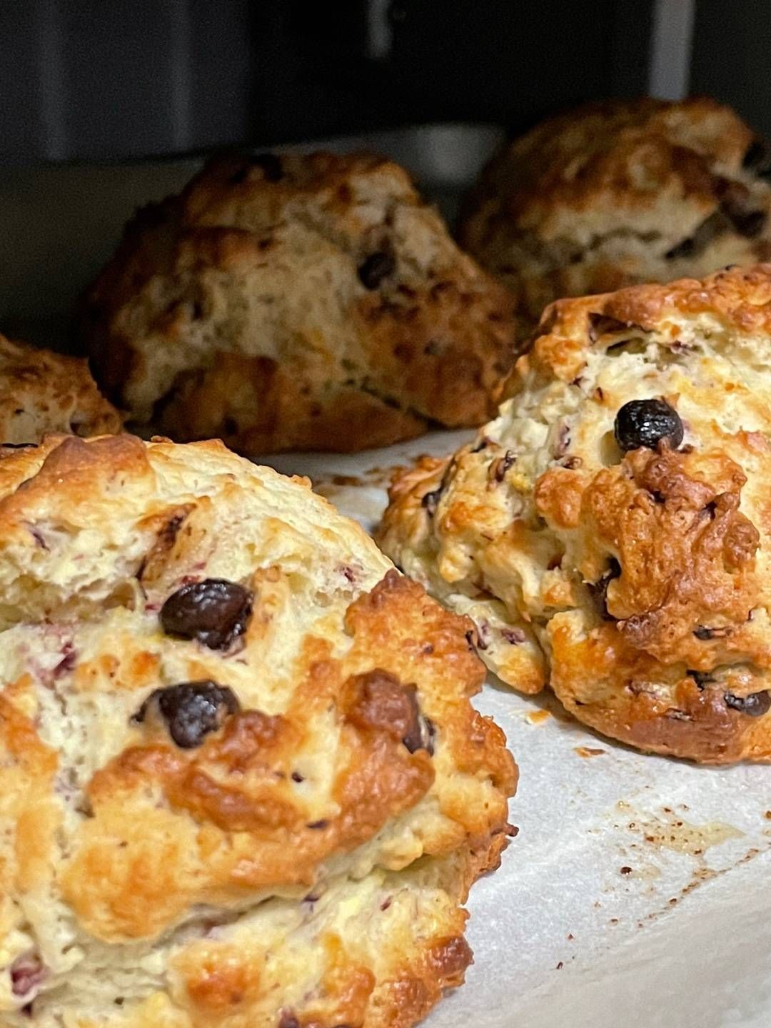 #비스킷 - Samsung Members