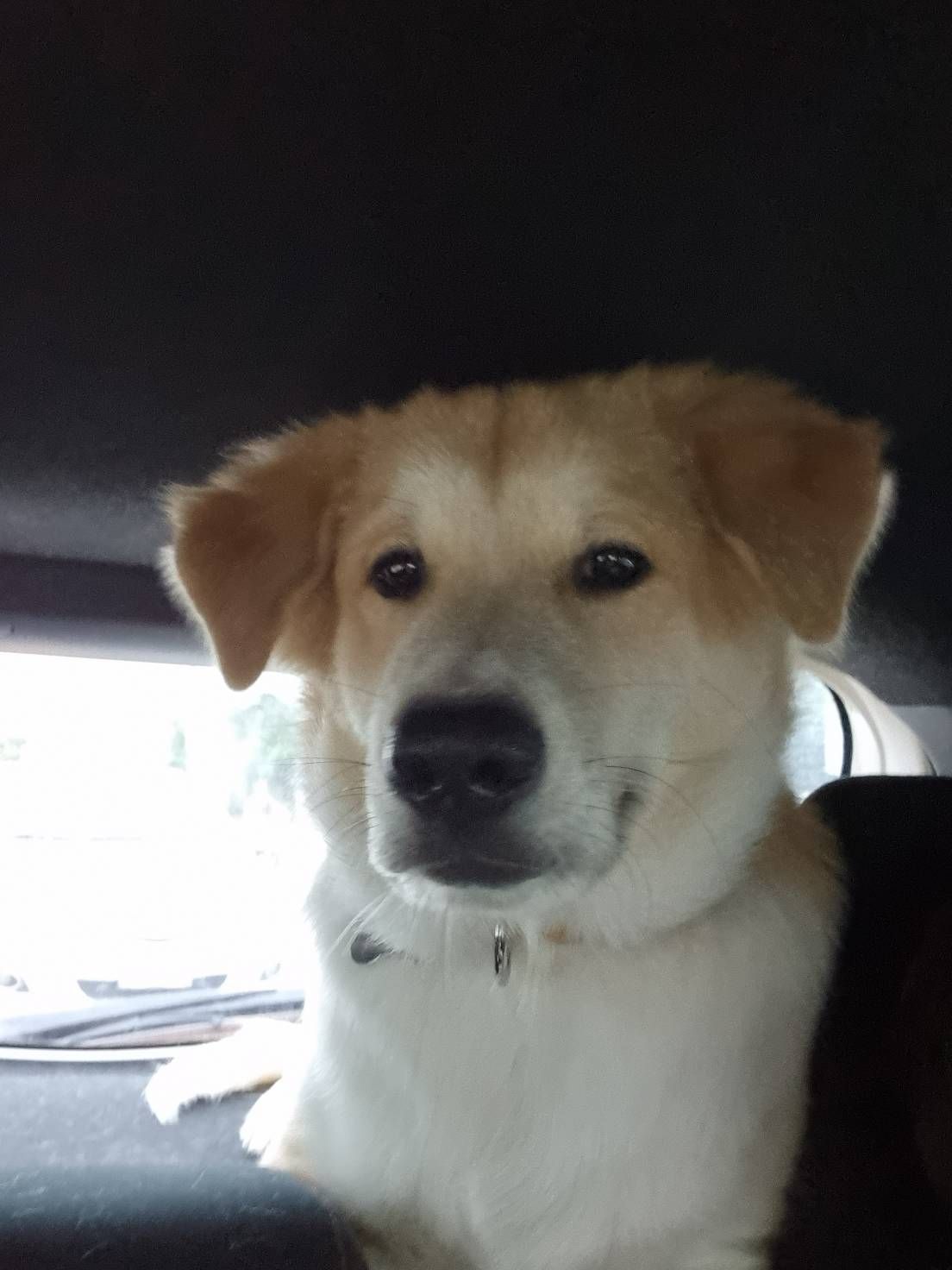 Happy - Samsung Members