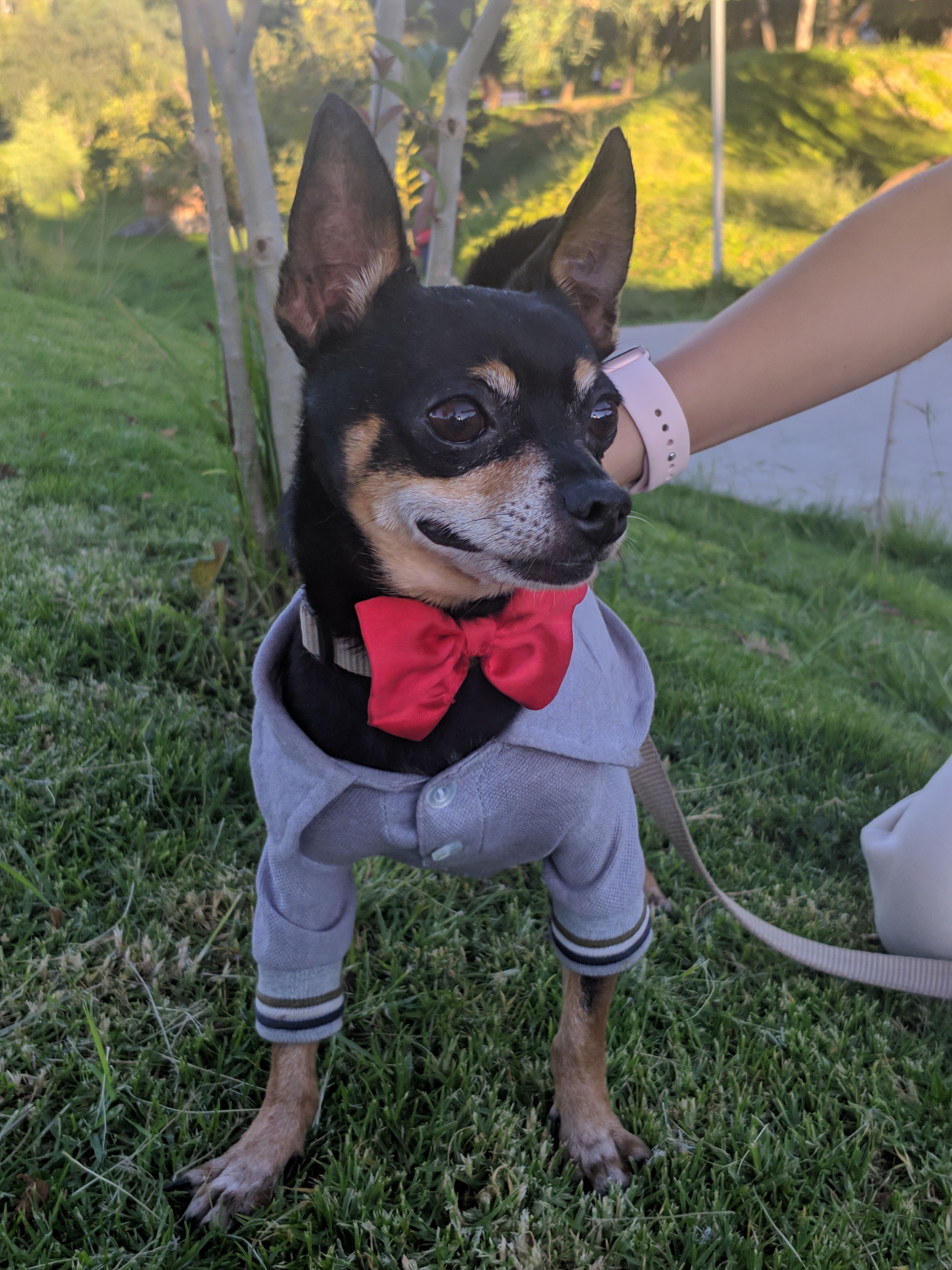 Calaveritasamsung - Samsung Members