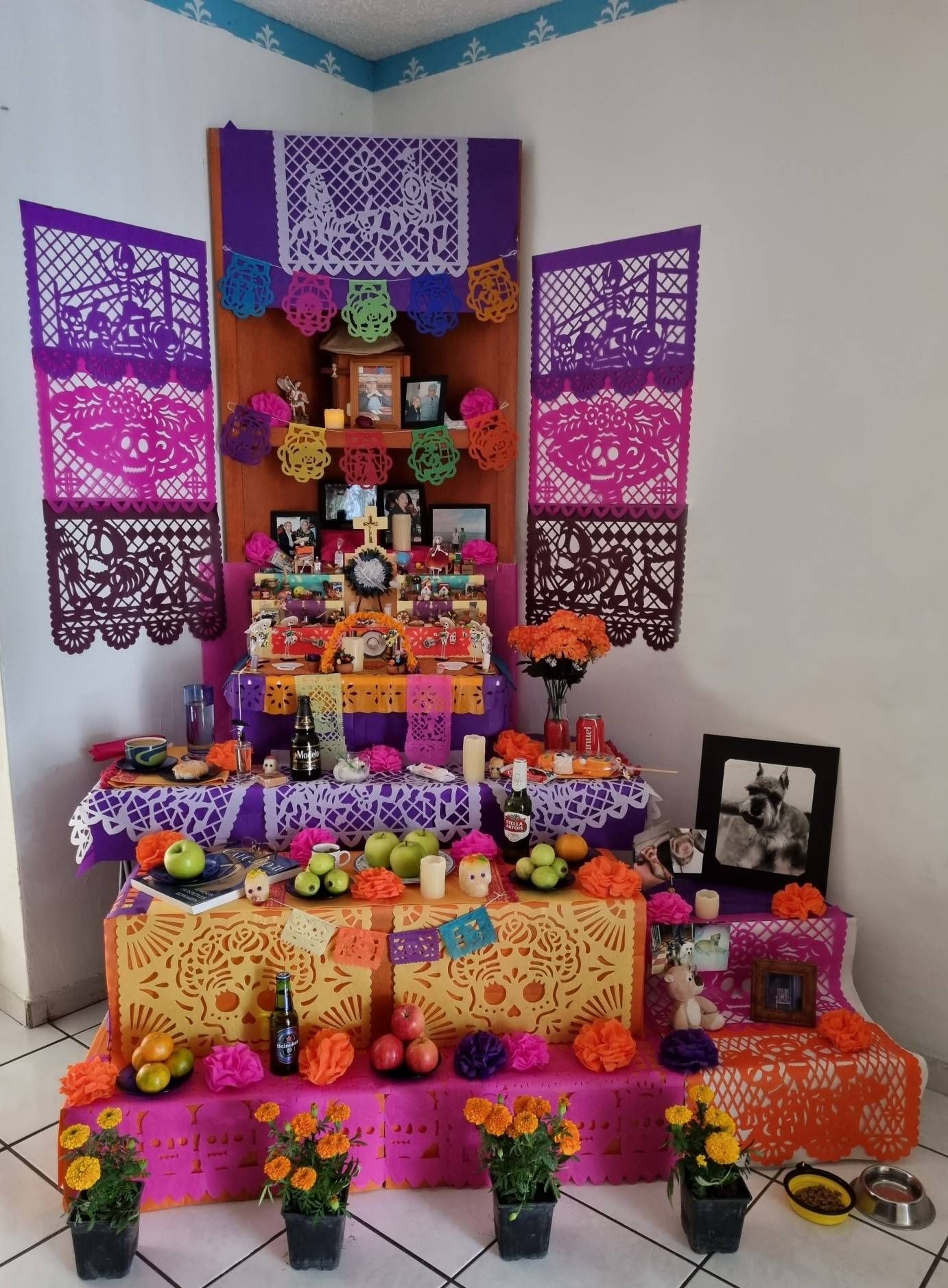 Mi altar de muertos - Samsung Members