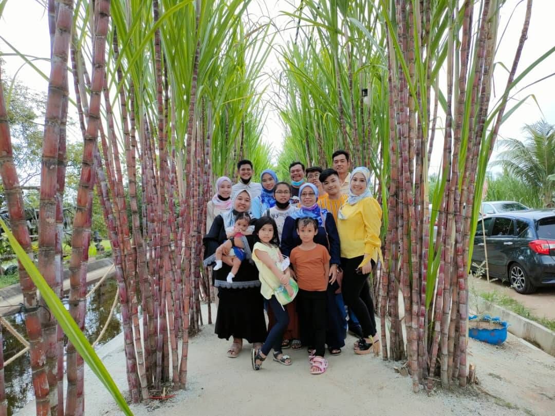 Ladang tebu aidil - Samsung Members