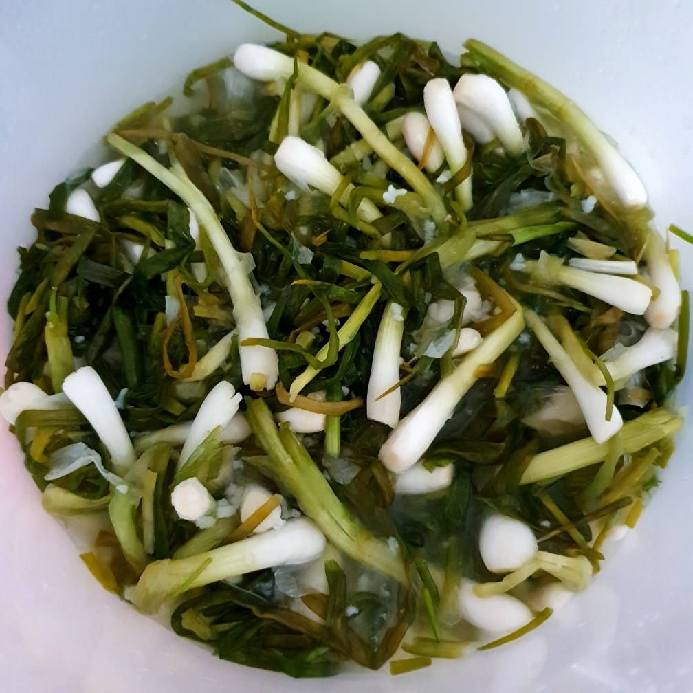 Pickled spring onion - Samsung Members