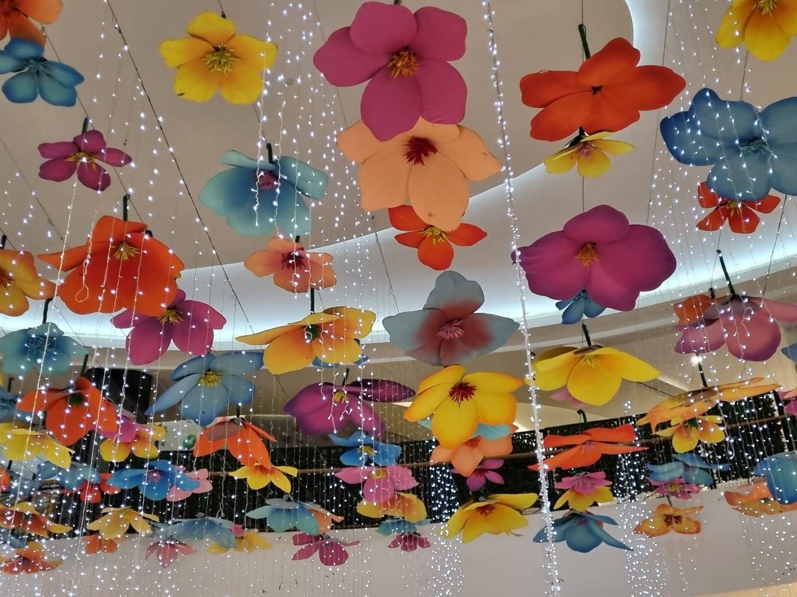 Flowers - Samsung Members