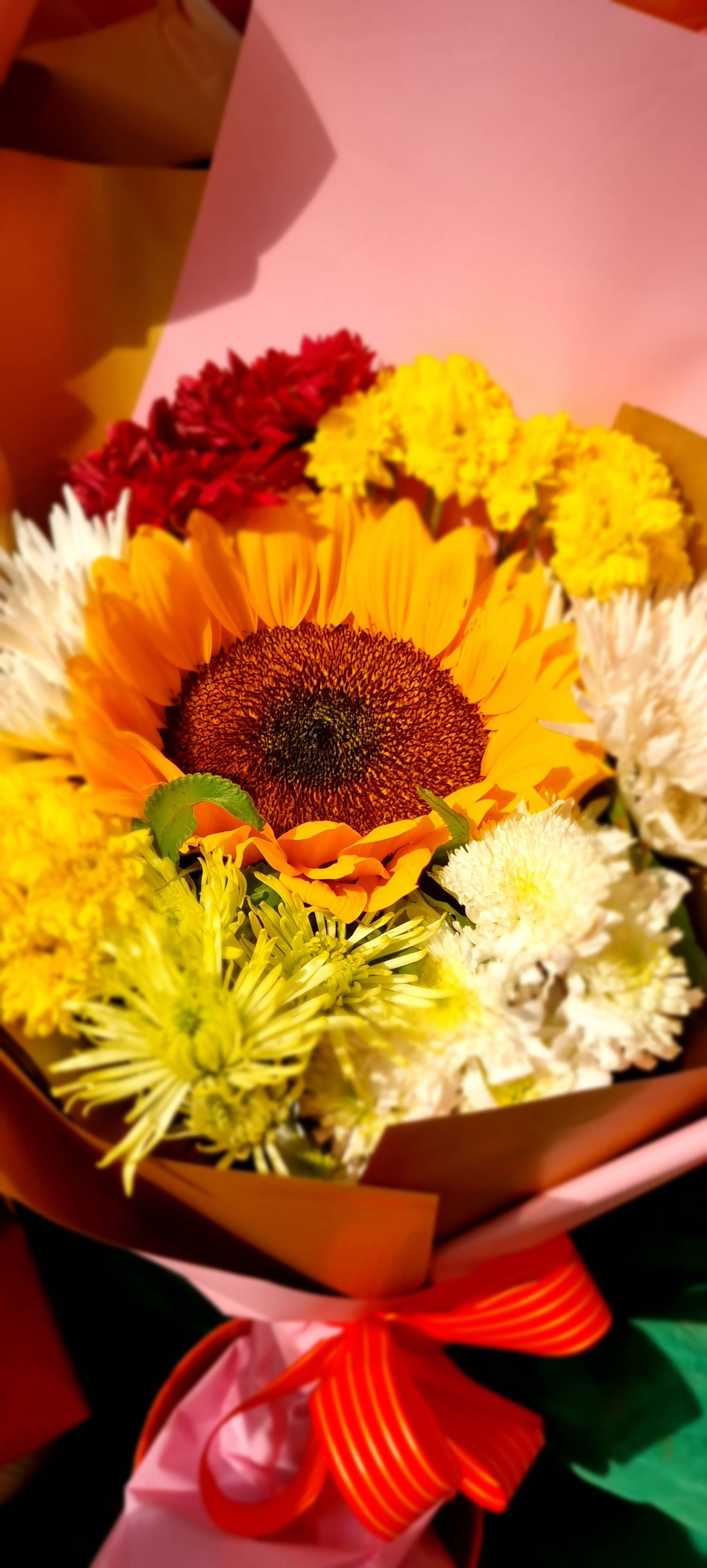 Happy puso - Samsung Members