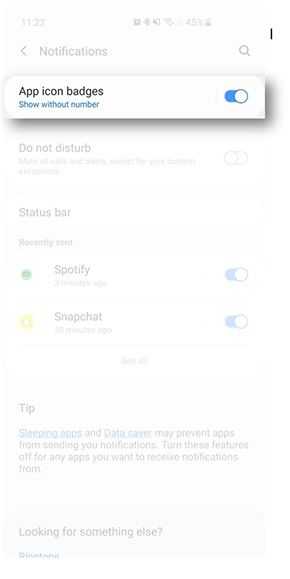 Setting up App Icon Badges on my Samsung Device - Samsung Members