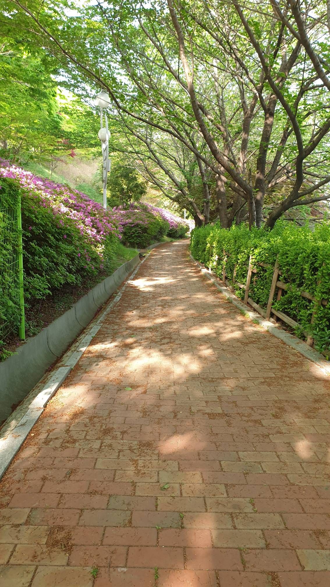 예쁜길 함께 걸어요~~~ - Samsung Members