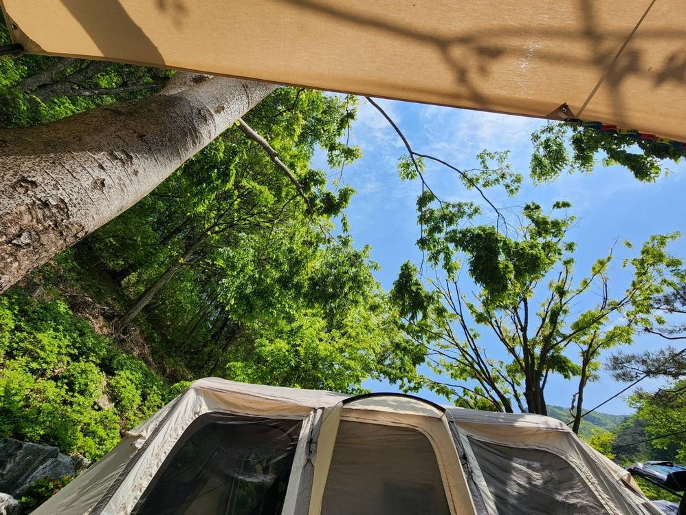 자연과 함께하는 하룻밤 - Samsung Members