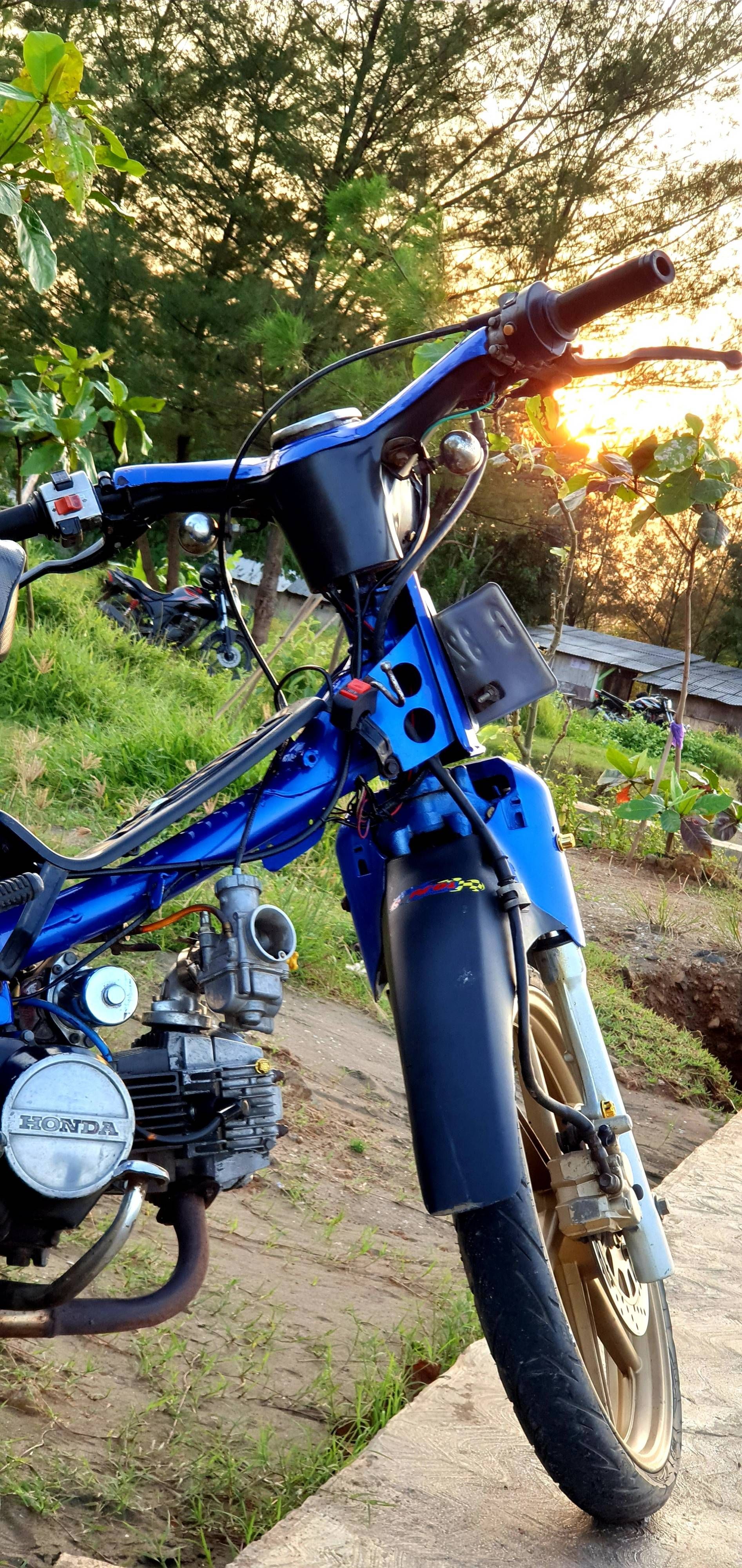 Selamat sore - Samsung Members