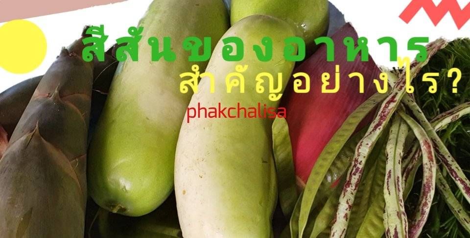 สีของผักผลไม้ส่งผลดีต่อสุขภาพ - Samsung Members