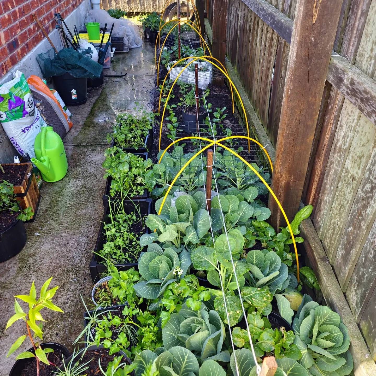 Prepare garden ready for spring season - Samsung Members