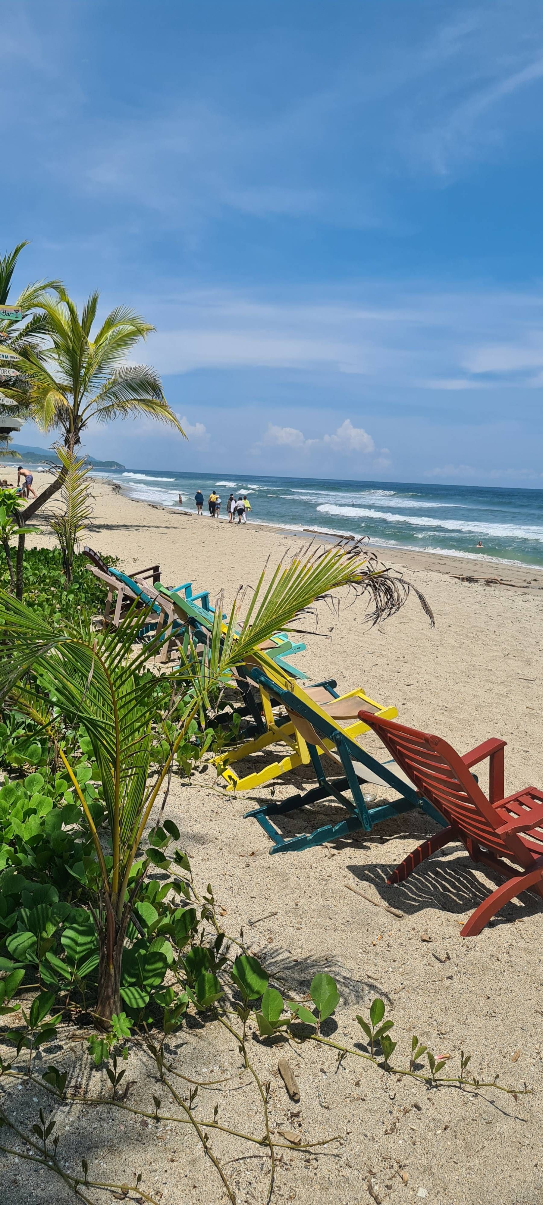 Playa - Samsung Members