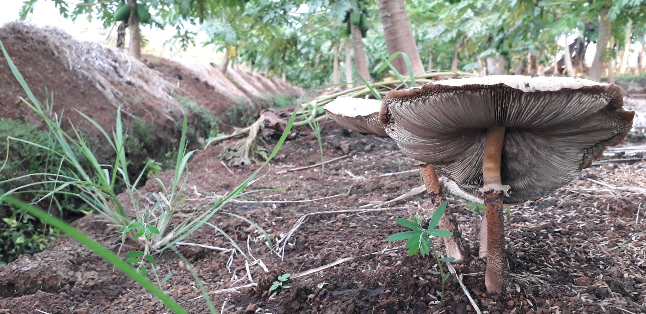 samsung j6 - Samsung Members