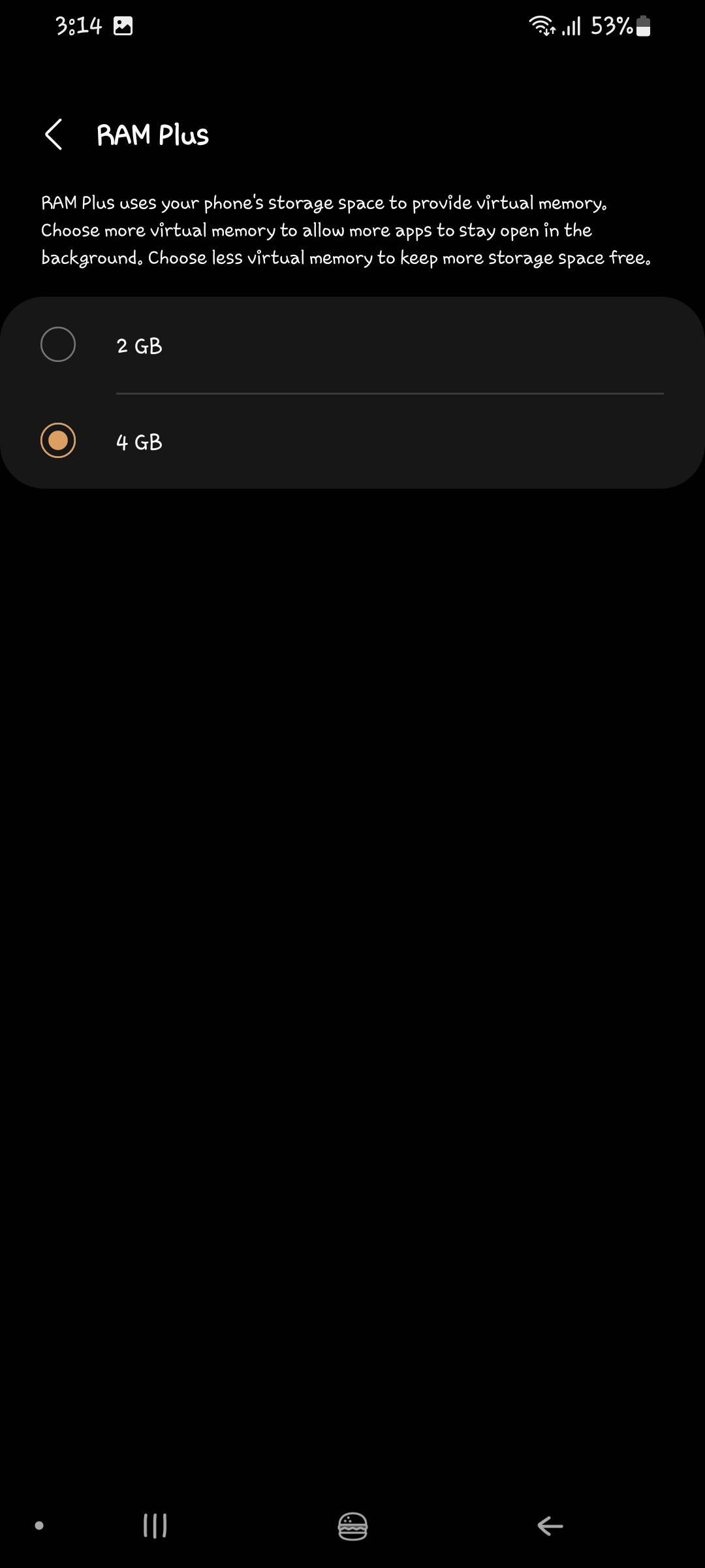Ramplus issues - Samsung Members