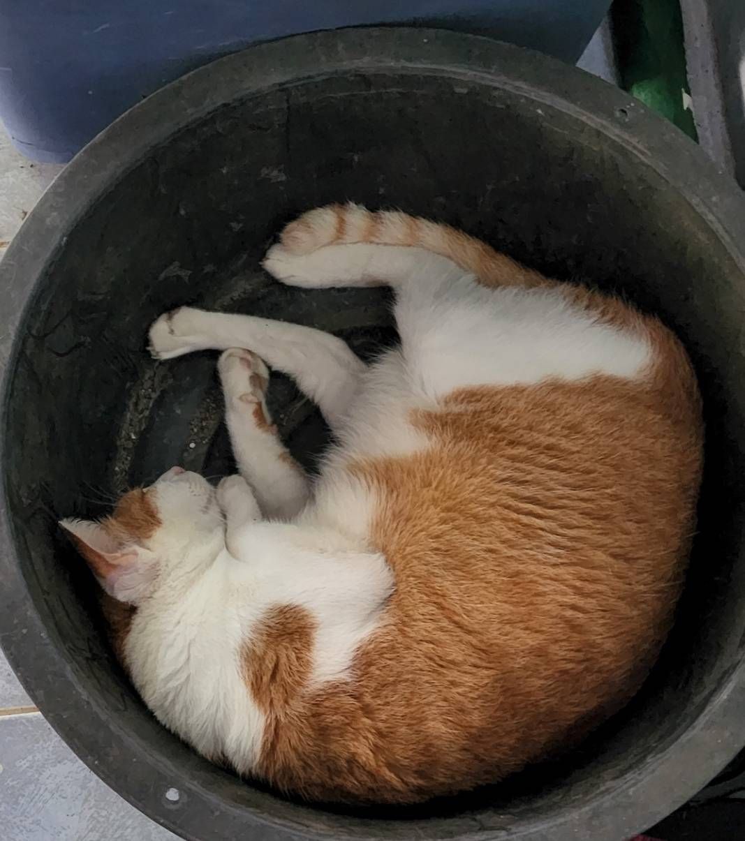 เจอละ - Samsung Members