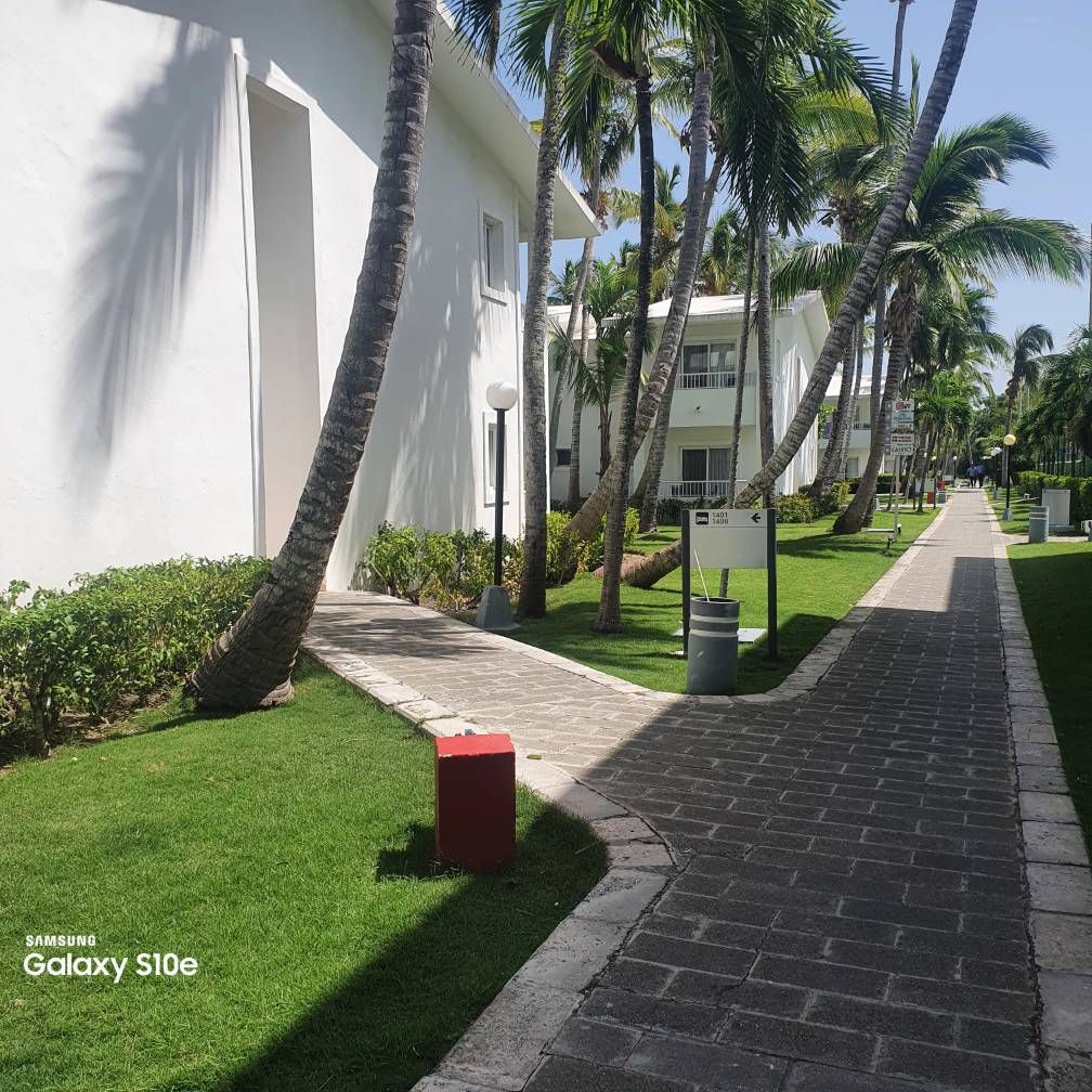 RIU Punta Cana - Samsung Members