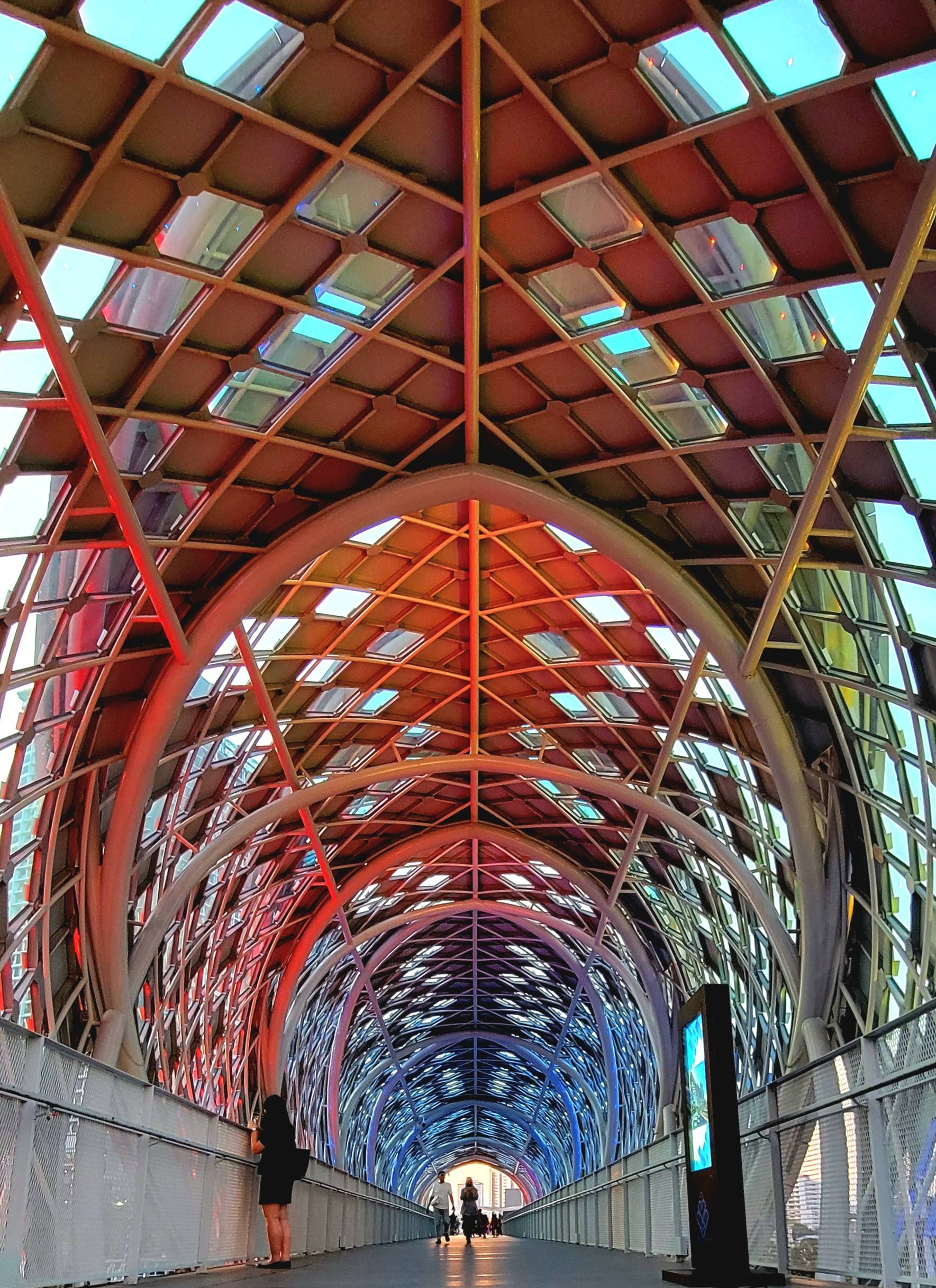 The lights of Saloma Bridge - Samsung Members