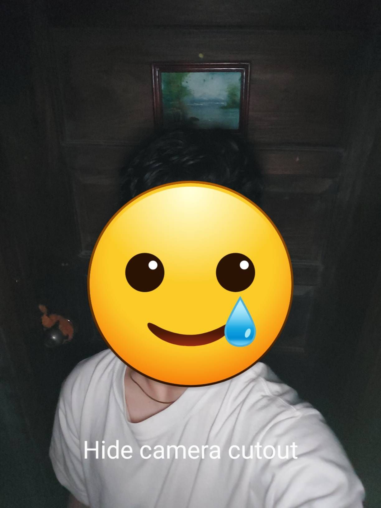 Camera cutout - Samsung Members