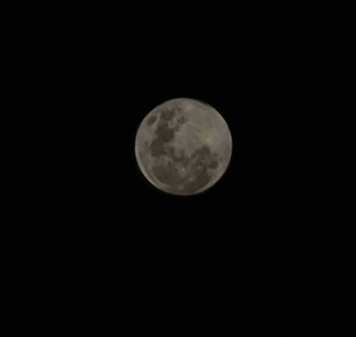Lua/Galaxy S20 FE 5G - Samsung Members