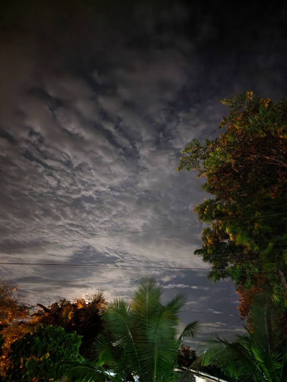 Nightography S22 Ultra📸 - Samsung Members