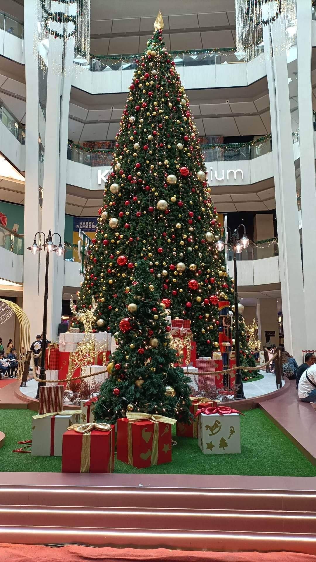 Epic Christmasssss Tree - Samsung Members