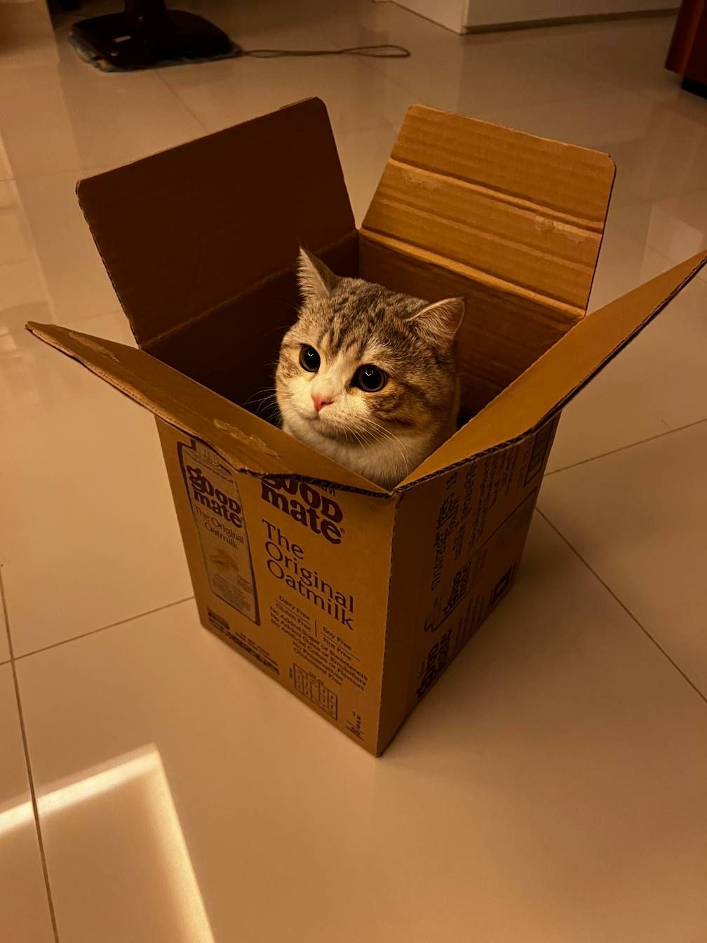 Delivery - Samsung Members