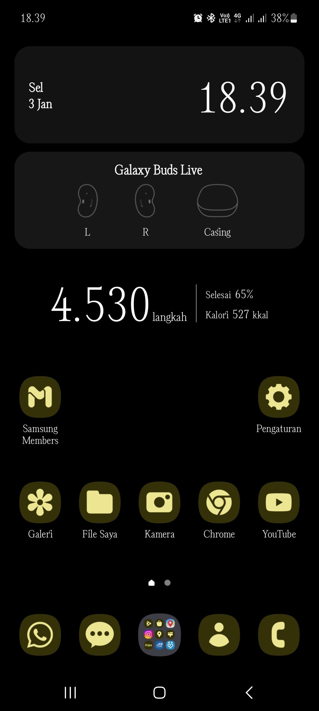 Simple Home Screen - Samsung Members