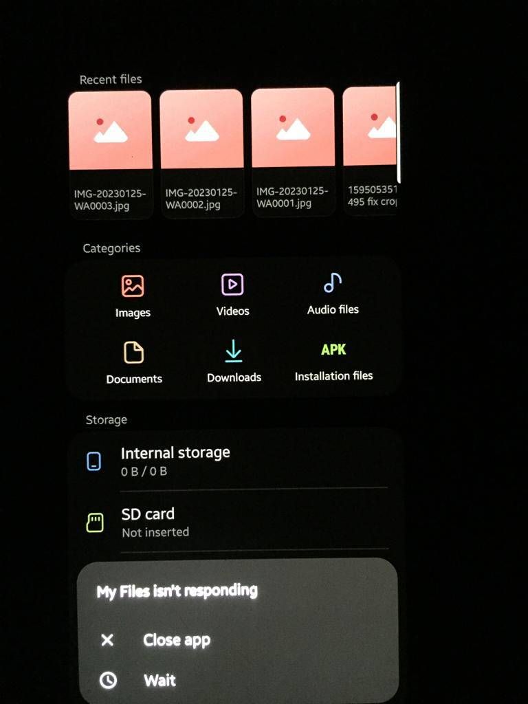 My File is not responding & storage disappear - Samsung Members