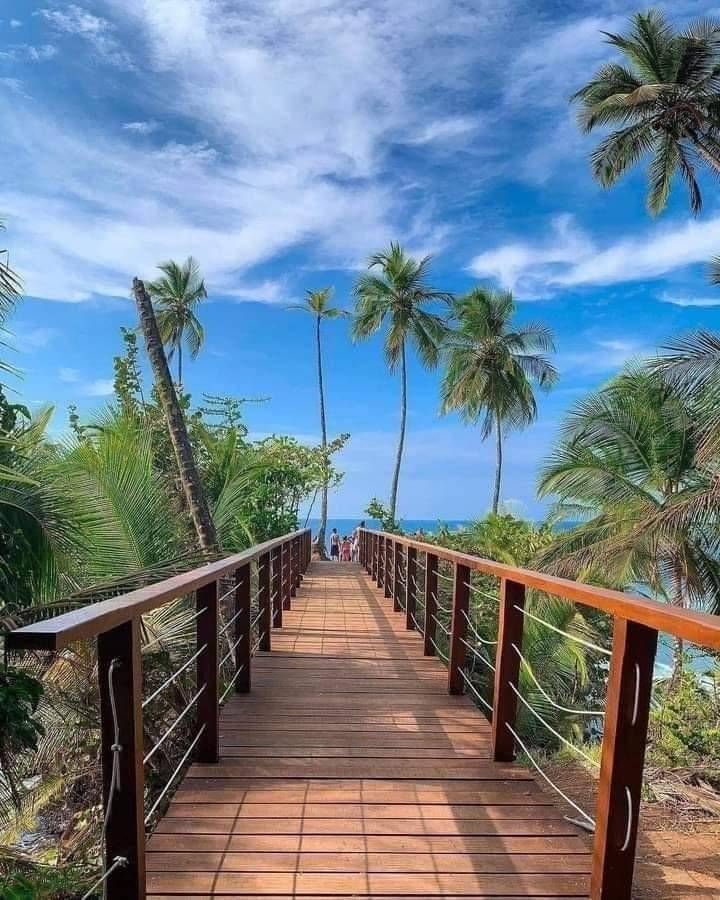 Tour a Manzanillo, Limón Costa Rica - Samsung Members