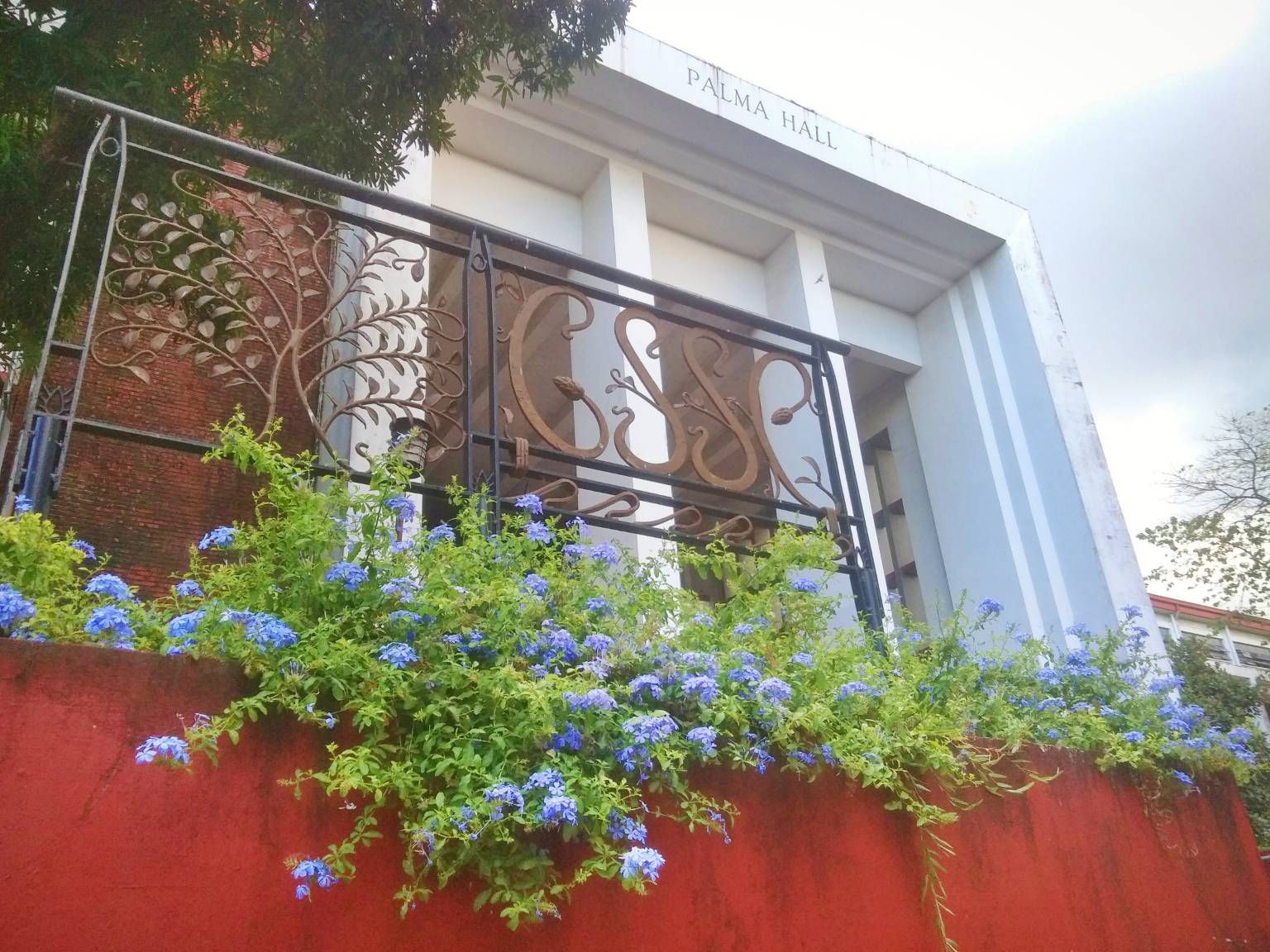 Palma Hall, UP Diliman 📍 Quezon City, Philippines - Samsung Members