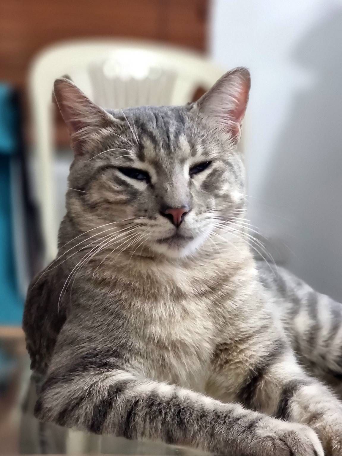 Felix - Samsung Members