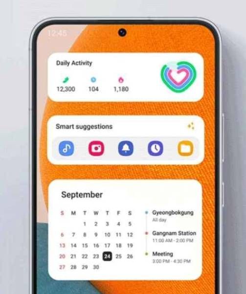 Daily activity widget - Samsung Members